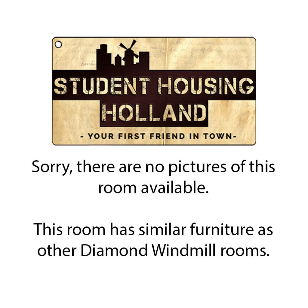Diamond Windmill Archives - Student Housing Holland
